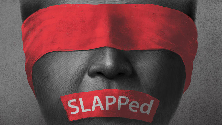 Tutorial: Explaining SLAPP Campaigns And Their Intentions! | FinCrime ...